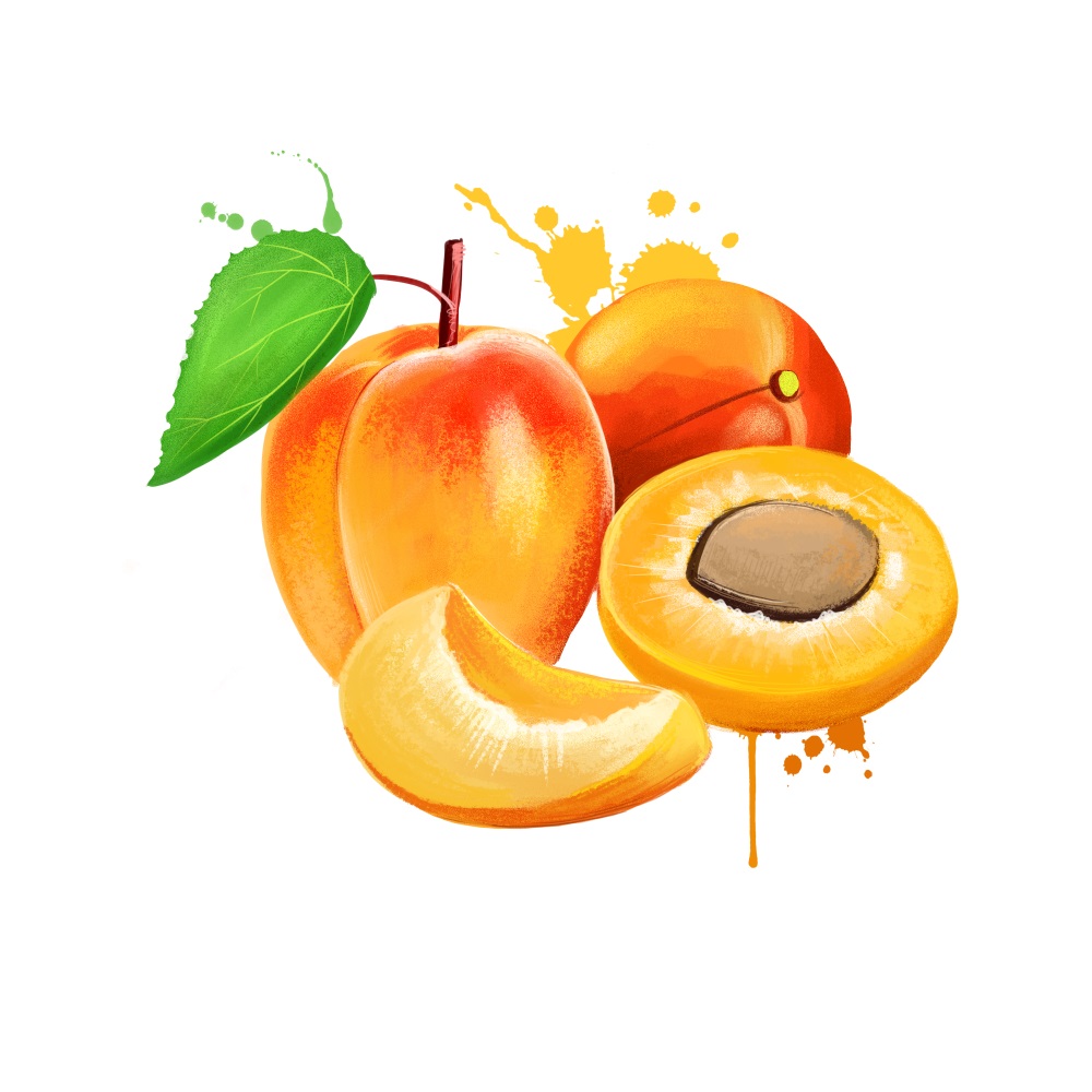 Džemy z meruněk - Fruito.cz